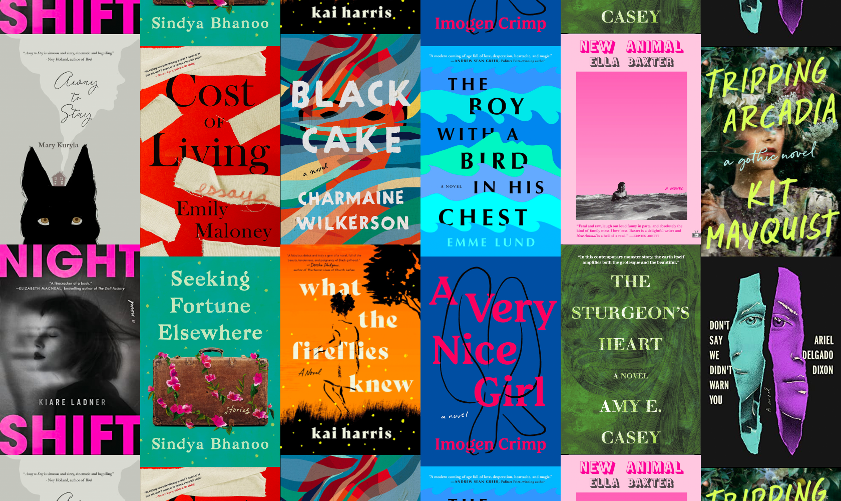 12 can’t-miss debut books to read in February – debutiful