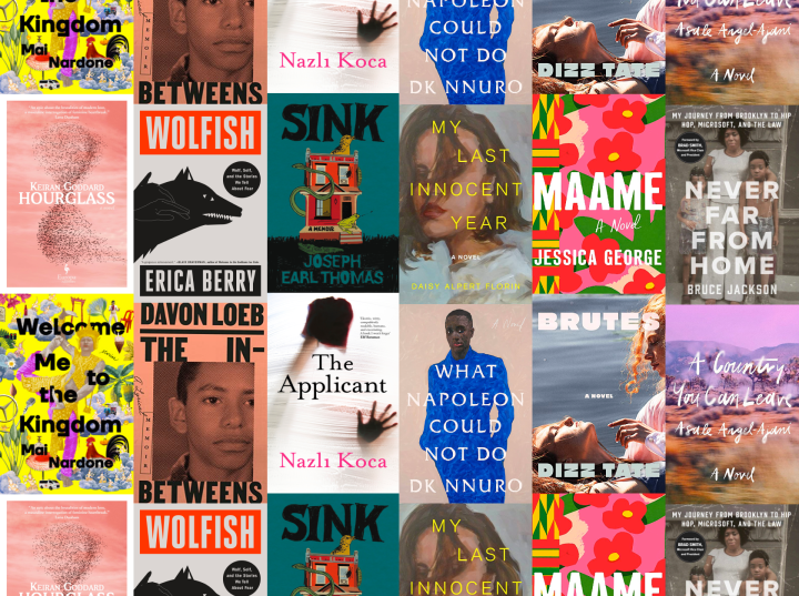 Can’t-miss debut books you should read this February – debutiful