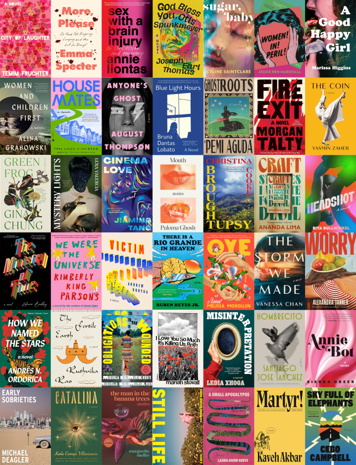 The Best Debut Books of 2024 – debutiful