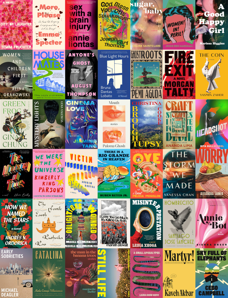 The Best Debut Books of 2024 – debutiful